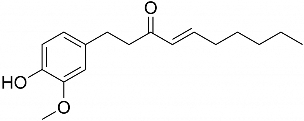 6-Shogaol - Ingwer-Wirkung